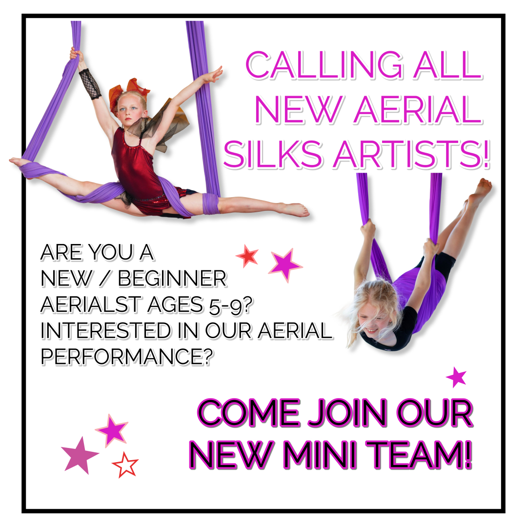 Aerial Arts Program - Avanti Dance Company